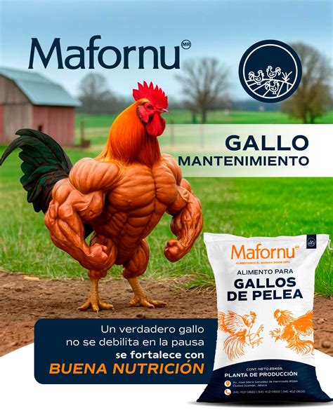 Mafornu Ciudad Guzmán