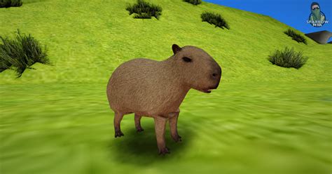 Mtasa Capybara Script