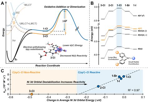Photogenerated Niibipyridine Halide Complexes Structure Function