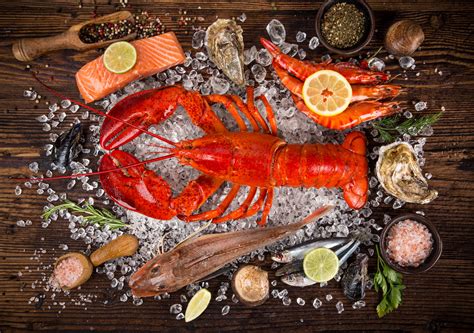 Jastog 600 800 G Vivita