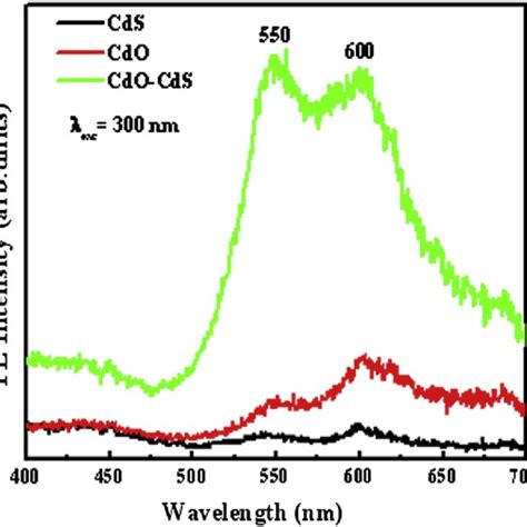 E Bet Surface Area Analysis Of Cds Cdo Cdoecds And Ptecdoecds Download Table