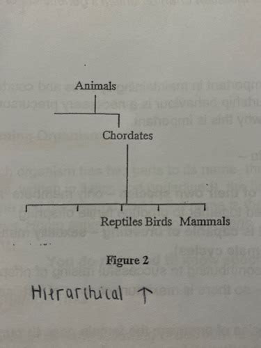 Classification And Taxonomy Flashcards Quizlet