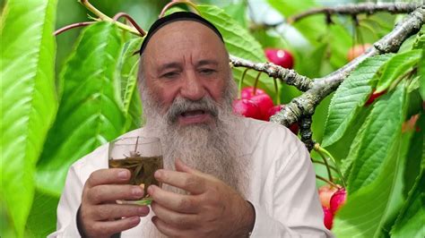 סגולה למוצאי שבת תה עלה זית ודובדבן הרב מנחם ברוש Youtube