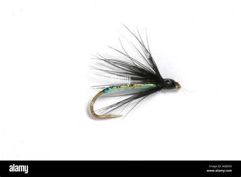 Black spider fishing hi-res stock photography and images - Alamy