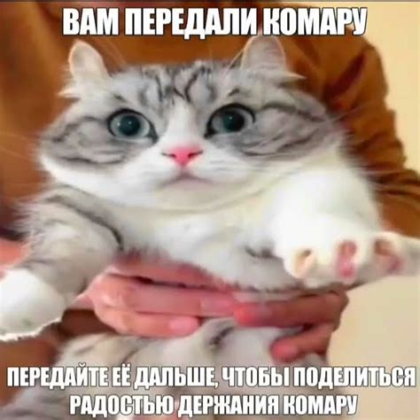 Комару Youtube