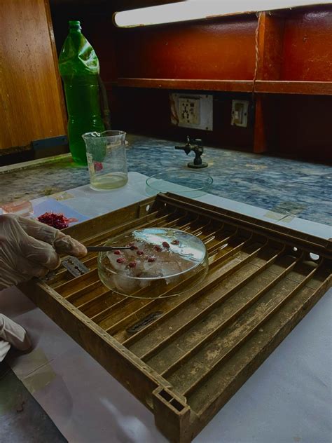 Hafsa Abdullah On Linkedin Recently I Had The Privilege Of Attending