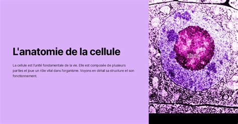 Lanatomie De La Cellule