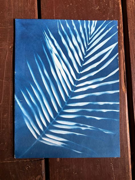 Palm Leaf Cyanotype Print Etsy