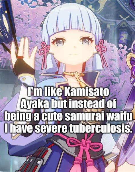 She Is Literally Me R Okbuddygenshin
