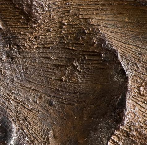 Meteorite Characteristics Buseck Center For Meteorite Studies