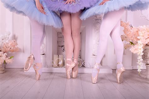 Prime Model Management Added A Prime Model Management