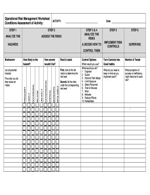 Risk Management Assessment Activity Fill Online Printable Fillable