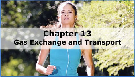 Diagram Of Chapter 13 Quizlet