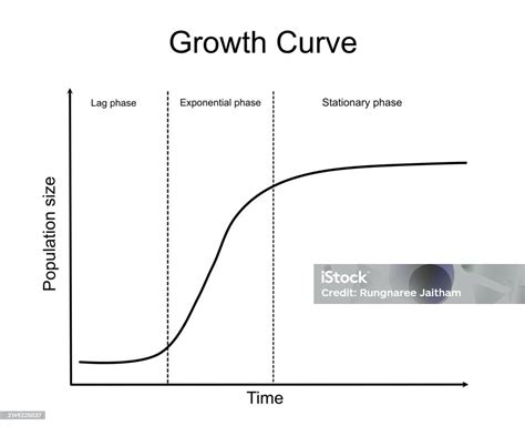The Growth Curves Of Relationship Between Population Size And The Growth Period That Identify In