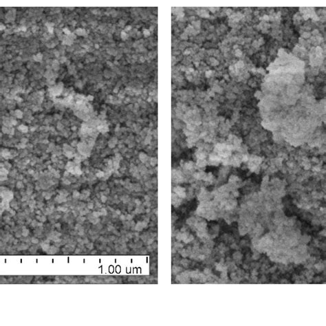 Examples Of Sem Images A B Df Dnds C D F Dnds Download