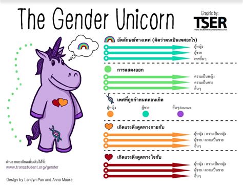Gender Unicorn Worksheets Library
