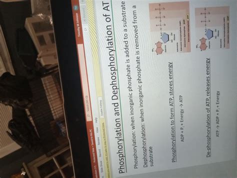 Chapter 3 Flashcards Quizlet