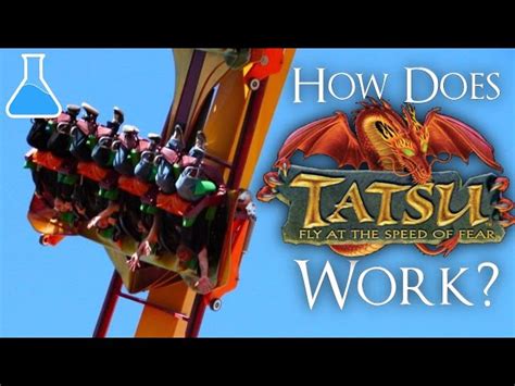 Tatsu Six Flags Speed