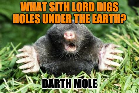 Mole Memes And S Imgflip