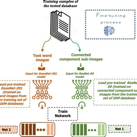 Overview Of The Fine Tuning Process Download Scientific Diagram
