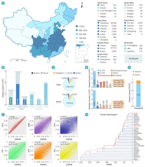 The Innovation 精准用药，基因先行：首个中国人药物基因组学图谱 腾讯新闻