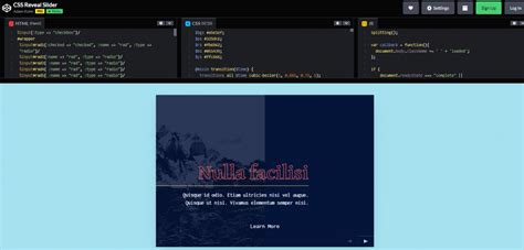 CSS Reveal Animation Code Examples WebTopic