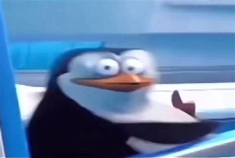 Create Meme The Skipper With The Red Eyes Jokes Jokes Madagascar