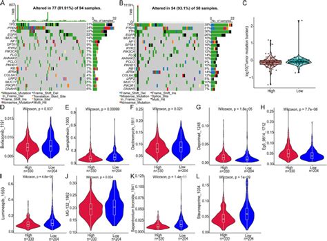 Characterization And Prognostic Of Cd8 Tim3 Cd101 T Cells In