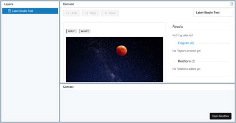 Label Studio Examples CodeSandbox