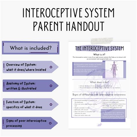 Occupational Therapy Interoception Goals At Linda Redmon Blog