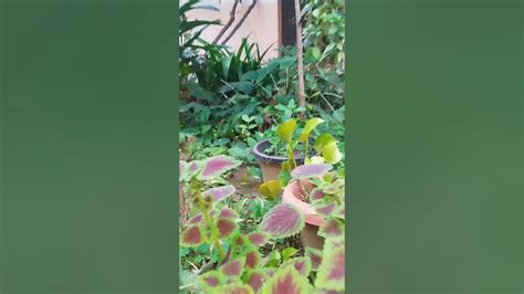 My Hooby 😍🥰😘 Youtube