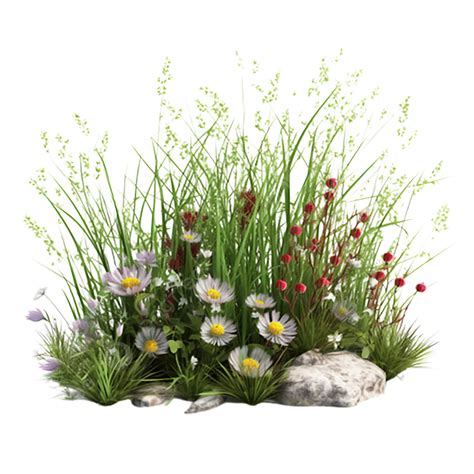 Grass Flower Png Grass With Flowers On Ground Png Images And Psds For