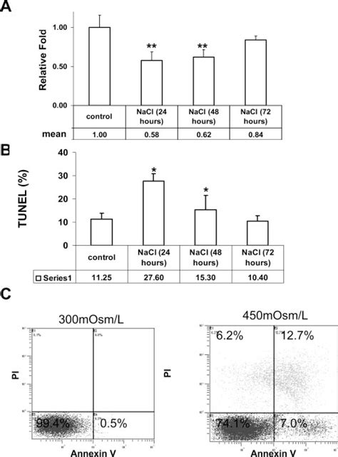 Hyperosmolarity Induced Cornification Of Human Corneal Epithelial Cells