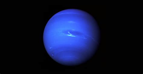 Social Trends Neptune