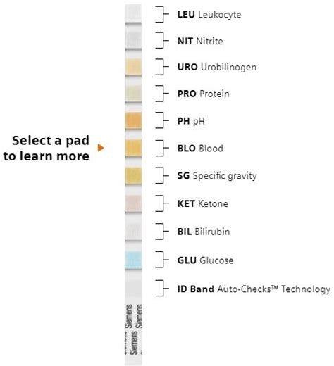 Multistix 10 Sg Reagent Strips Get Quote Rfq Price Or Buy