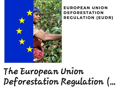 Equaltradecertification Eudr Greandeal Ethiopiacoffeeproduction