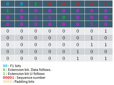 LTE UM PDU Format Encoding And Decoding