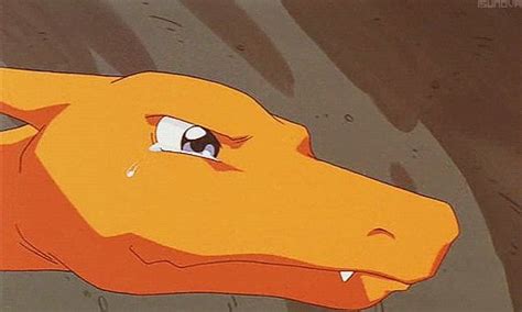 Charizard You Are Sad Rfunny