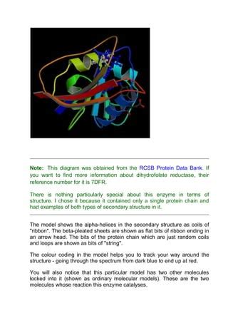 Protein DOCX