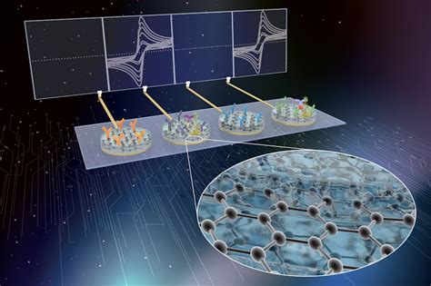 Donald E Ingber M D Ph D