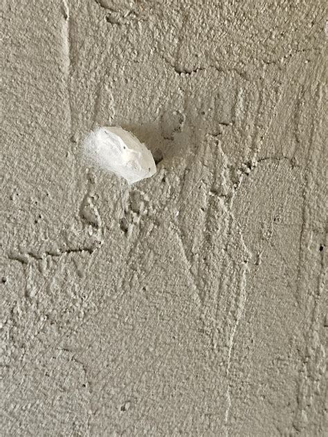 Is This A Spider Sac R Whatsthisbug