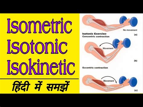 Sexercises Isometric And Isotonic