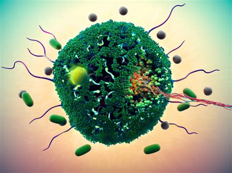 鳞状上皮癌先手术还是先放疗 鳞状上皮癌 皮肤癌 肿瘤疾病大全癌症肿瘤科普知识 有来医生