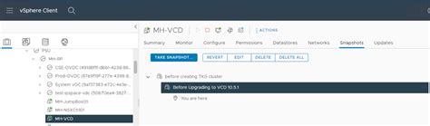Vmware Cloud Director Step By Step Vcd Upgrade From Version 1042 To 1051 Vexpert Consultancy
