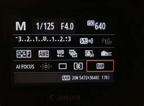 RAW VS JPEG Understanding The Impact On Photos Pichalab Com