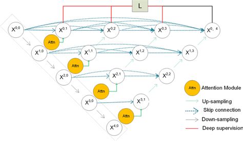 Network Structure Of AttentionUnet Download Scientific Diagram