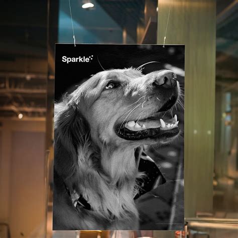 Polypanel Vinyl Mounted Visual Graphx Llc