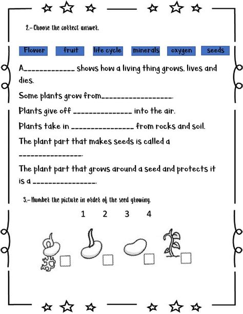 Science Exam Worksheet Live Worksheets