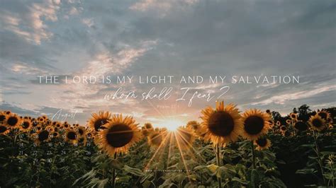 Bible Verse Desktop Wallpaper Sunflower Field August 2022 Desktop