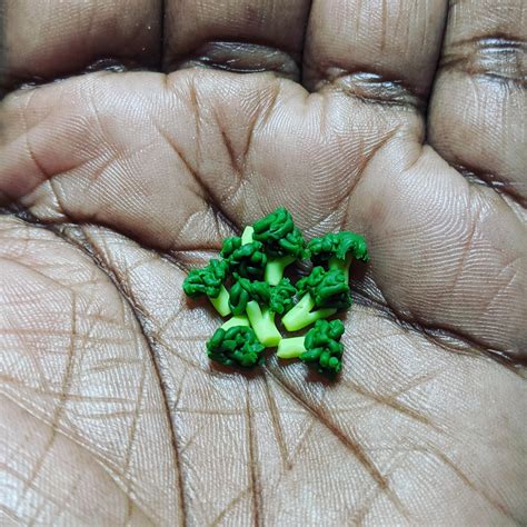 Some Teeny Tiny Broccoli 🥦 Rminiatures